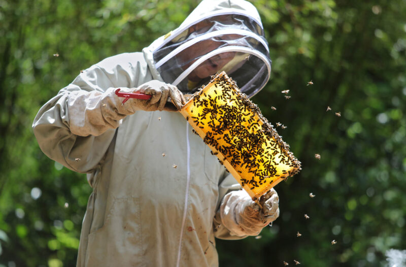 Glenstal Abbey Murroe, County Limerick, Ireland - Collegio Sant'Anselmo